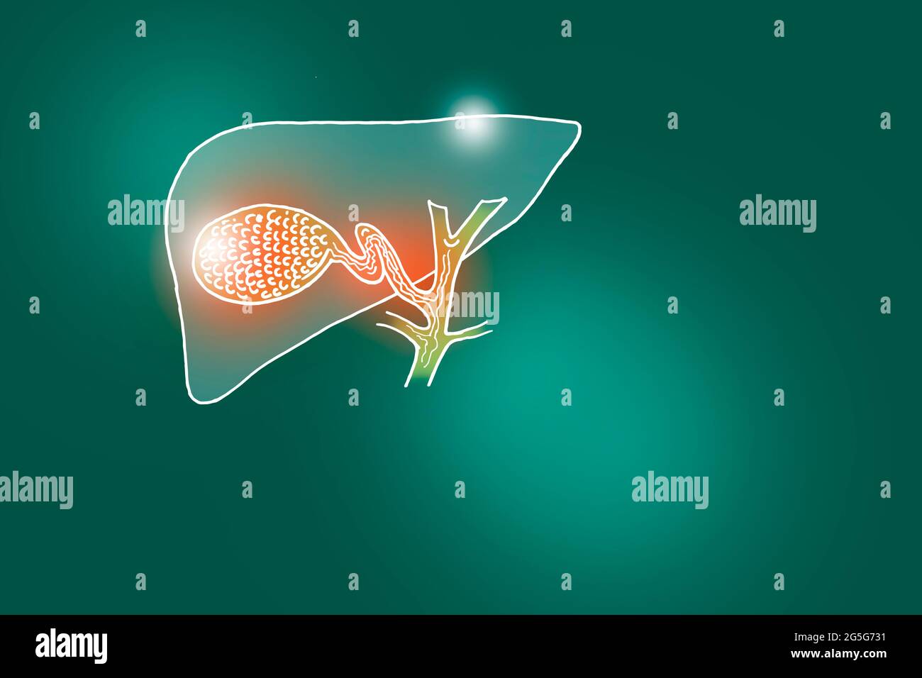 Handrawn illustration of human Gall Bladder on deep green background ...
