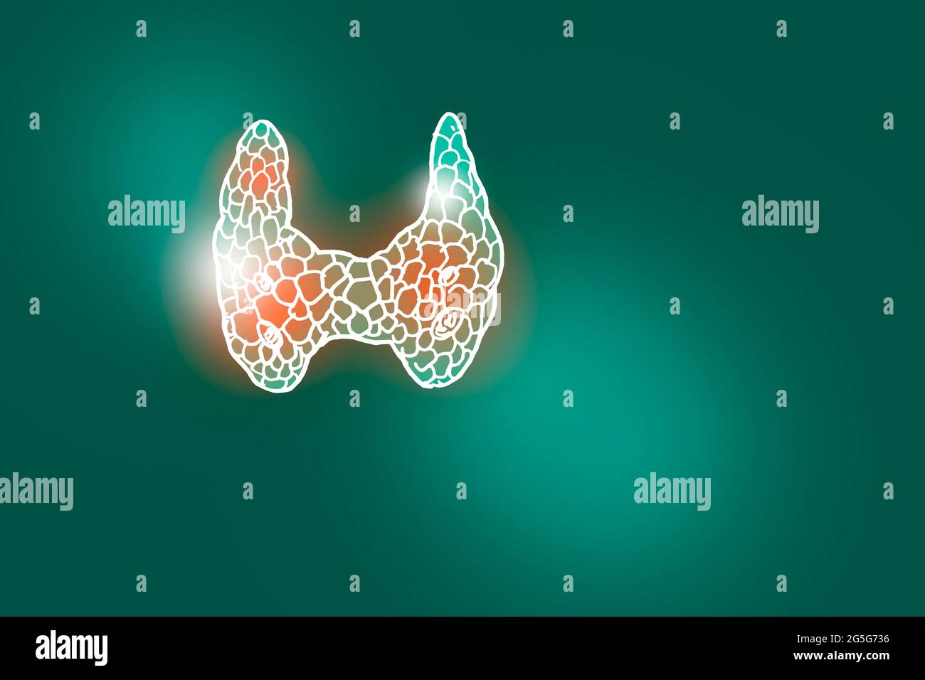 Handrawn illustration of human Thyroid Gland on deep green background ...