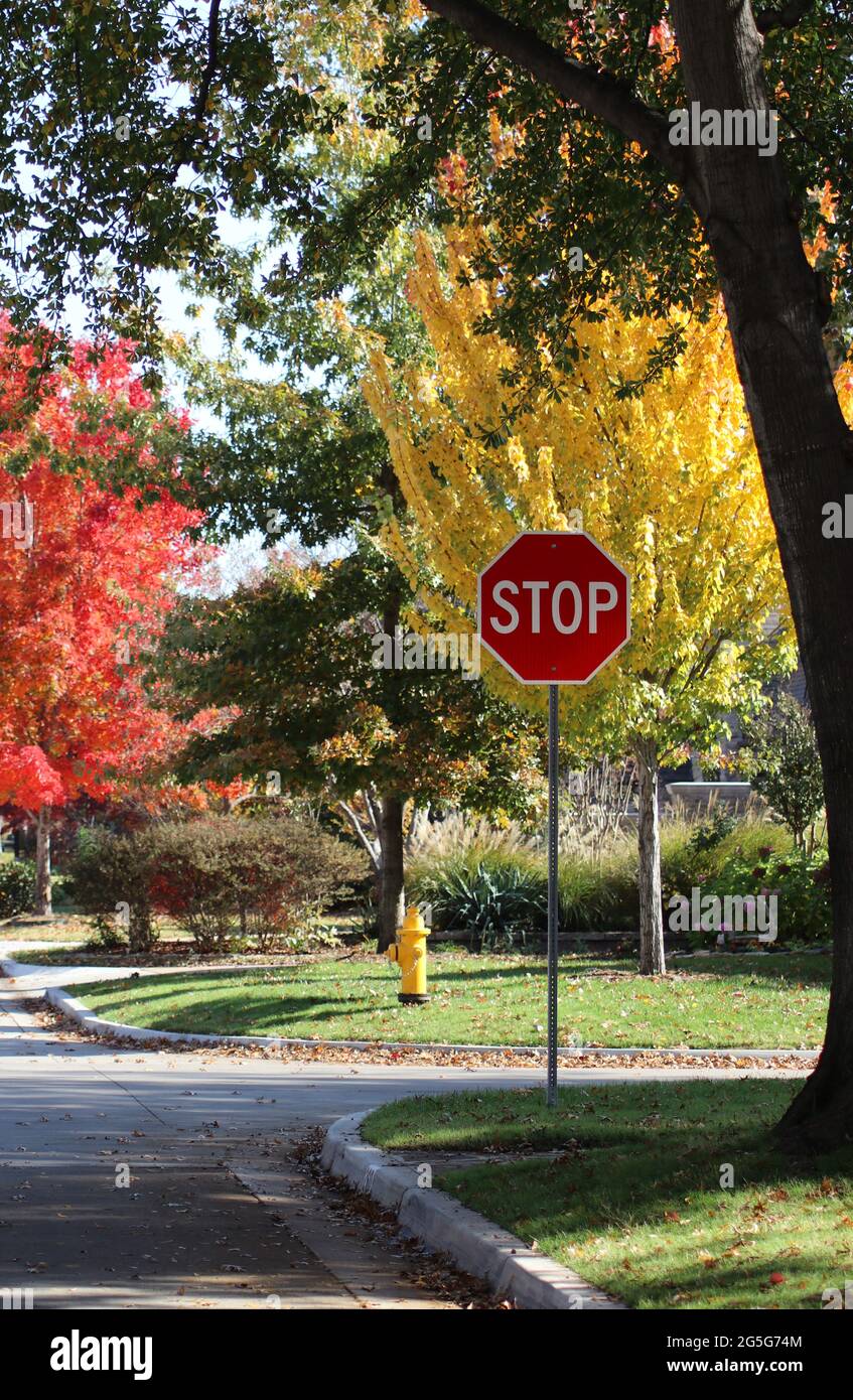 Stop sign and yellow fire hydrant at intersection in residential ...