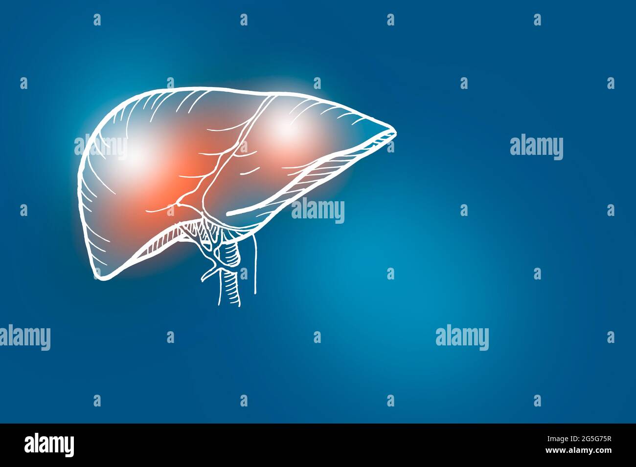 Handrawn illustration of human Liver on dark blue background. Medical ...