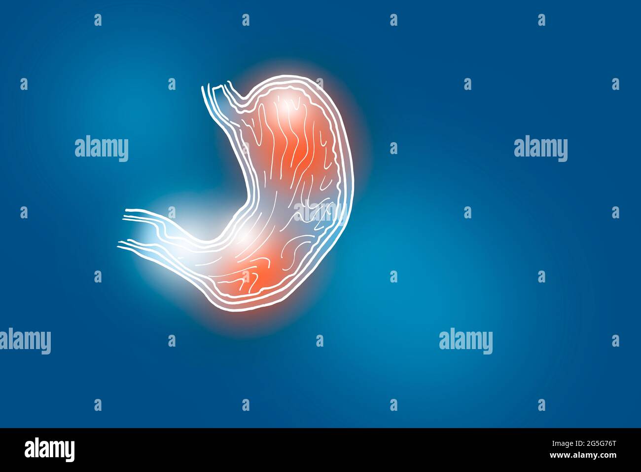 Handrawn illustration of human Stomach on dark blue background. Medical ...