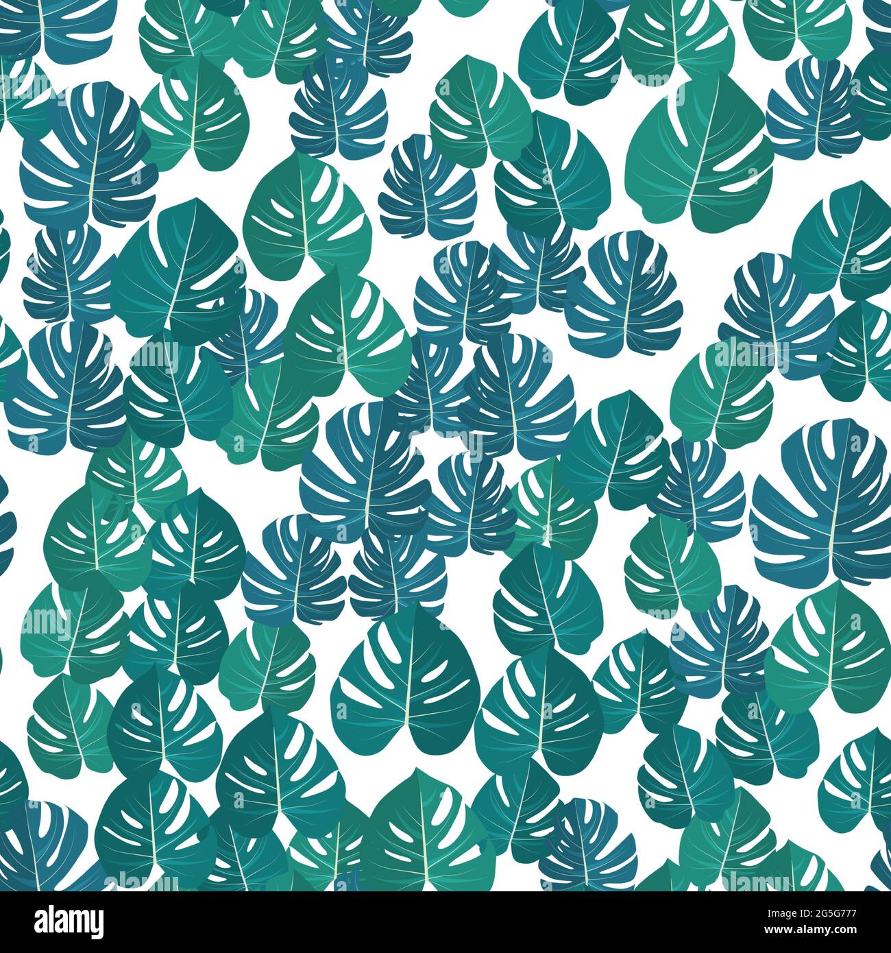 Monstera leaaves seamless pattern natural tropical background. Vector ...