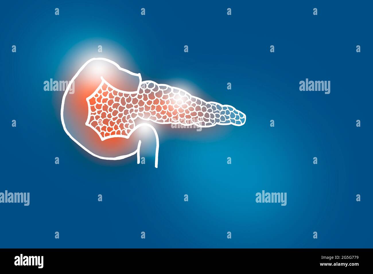 Handrawn illustration of human Pancreas on dark blue background ...