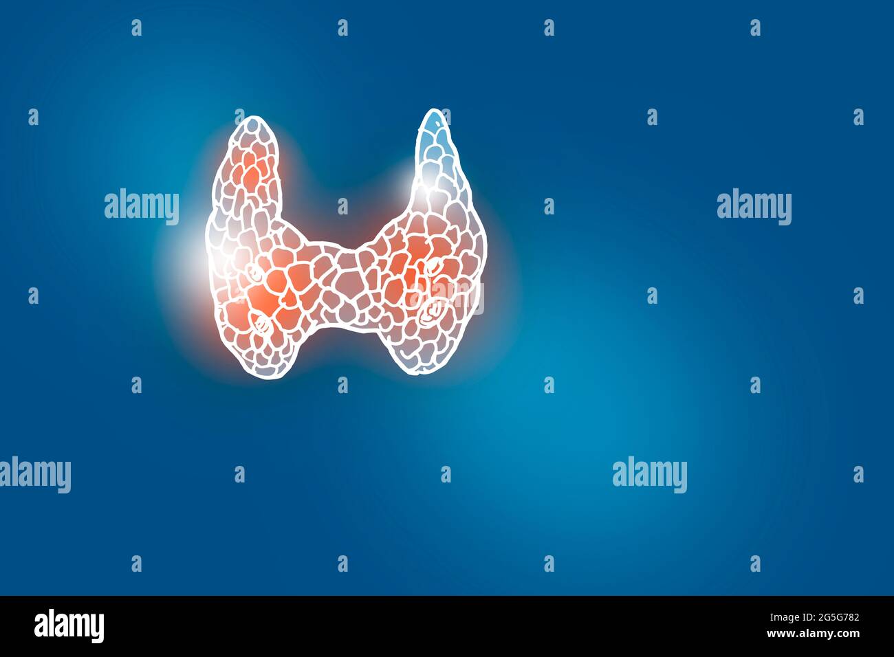 Handrawn illustration of human Thyroid Gland on dark blue background ...