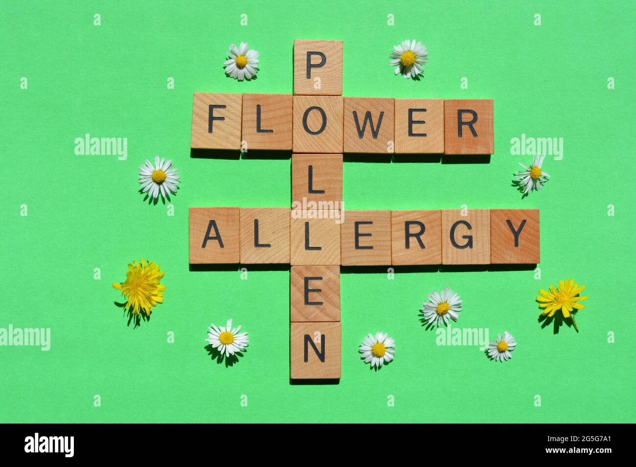 Flower, Pollen, Allergy, words in wooden alphabet letters in crossword ...