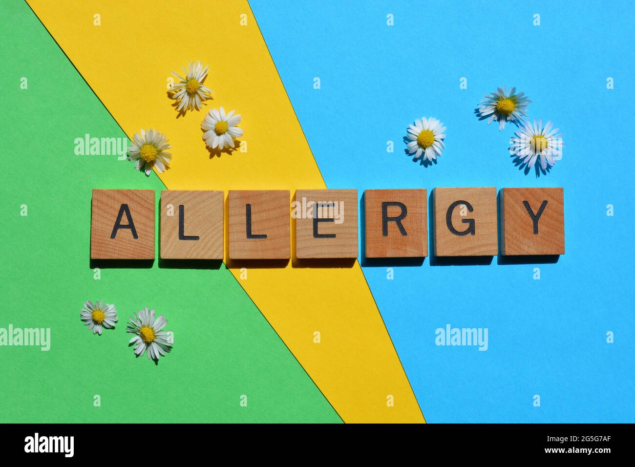 Allergy, word in wooden alphabet letters surrounded by daisy flowers ...