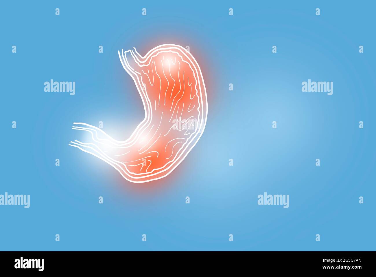 Handrawn illustration of human Stomach on light blue background ...