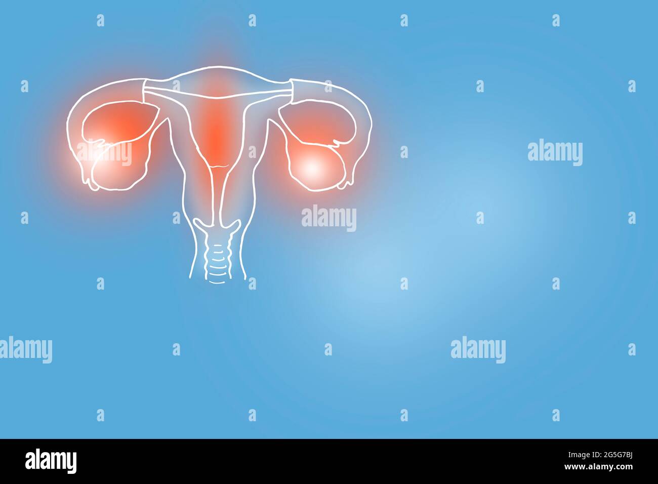 Handrawn illustration of human Uterus on light blue background. Medical ...
