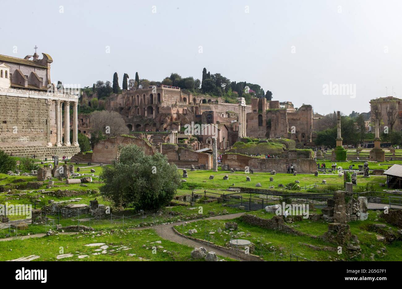 Foro romano forum antico hi-res stock photography and images - Alamy