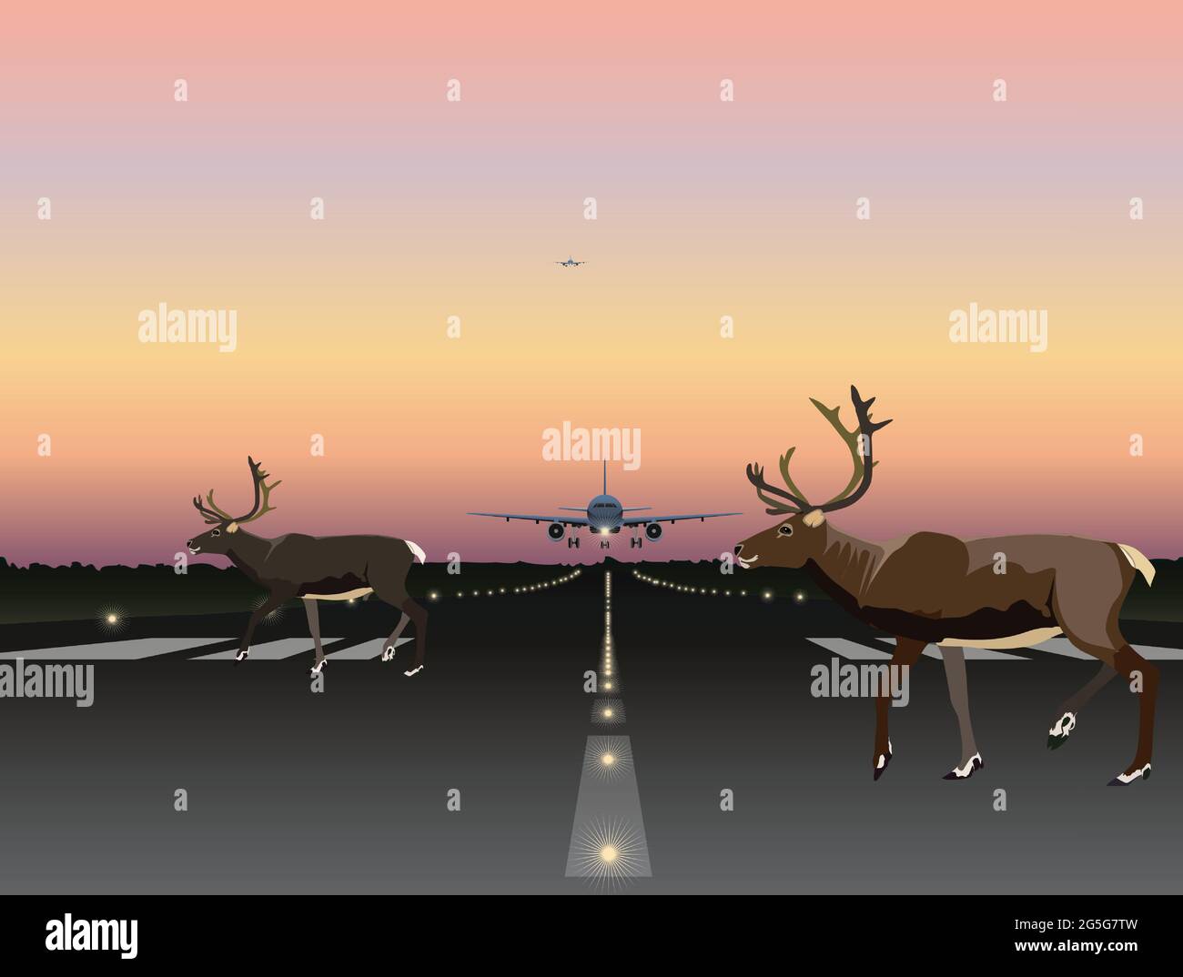 Vector Illustration- Flight Safety Hazard, Animals crossing runway at ...