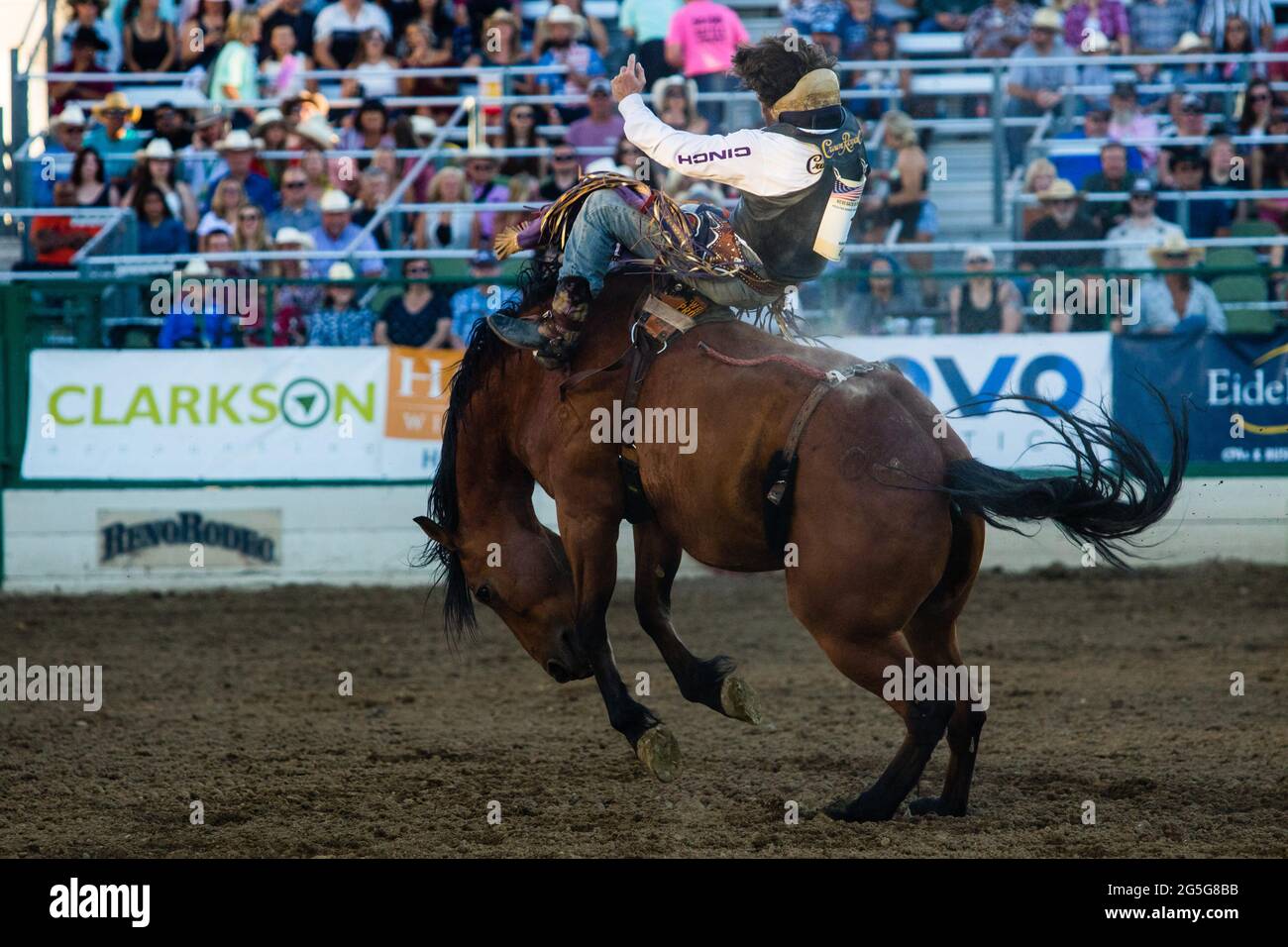 Tilden hooper hi-res stock photography and images - Alamy