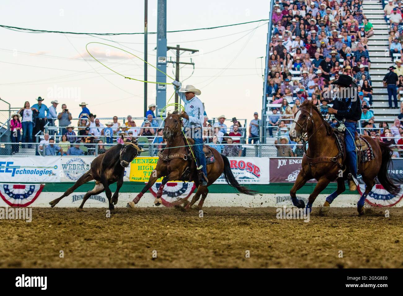 Derrick Begay and Cory Petska rope a calf becoming the 2021 Reno Rodeo ...