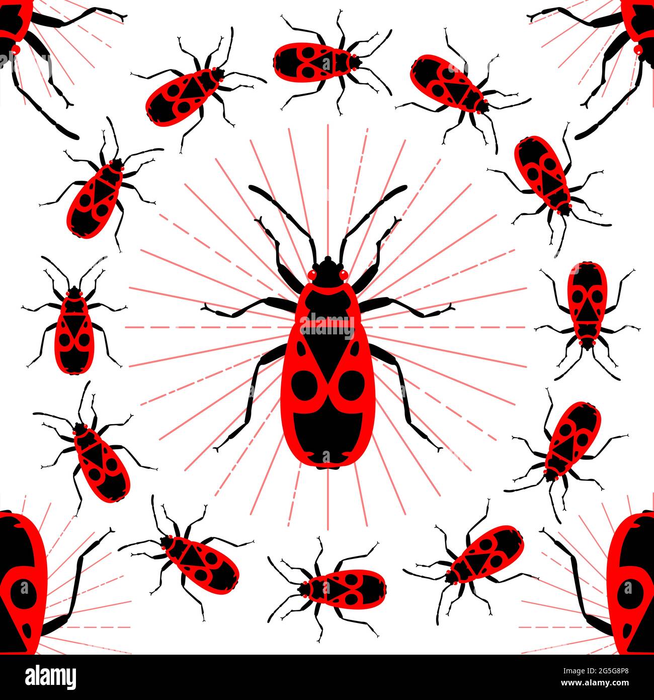 Firebug, Pyrrhocoris apterus. Seamless pattern. Vector illustration ...