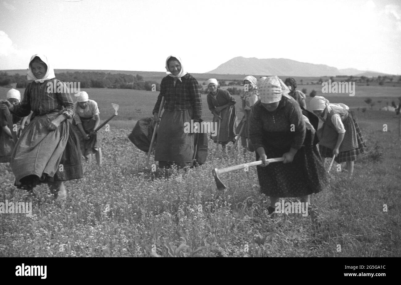 Czech women workers hi-res stock photography and images - Alamy