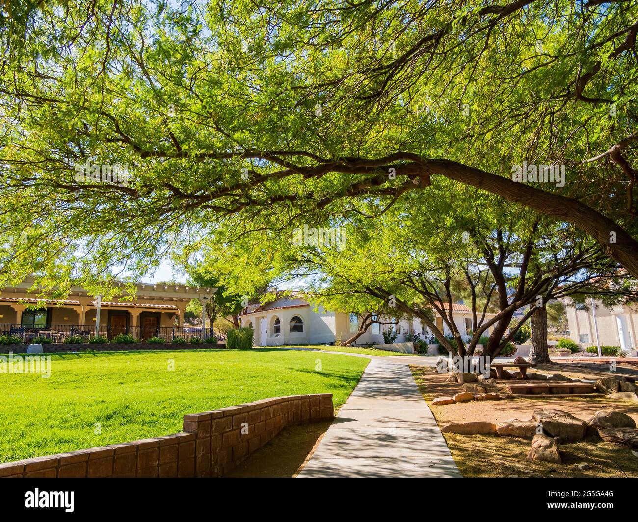 Beautiful tree landscape in the St. Jude's Ranch for Children at ...