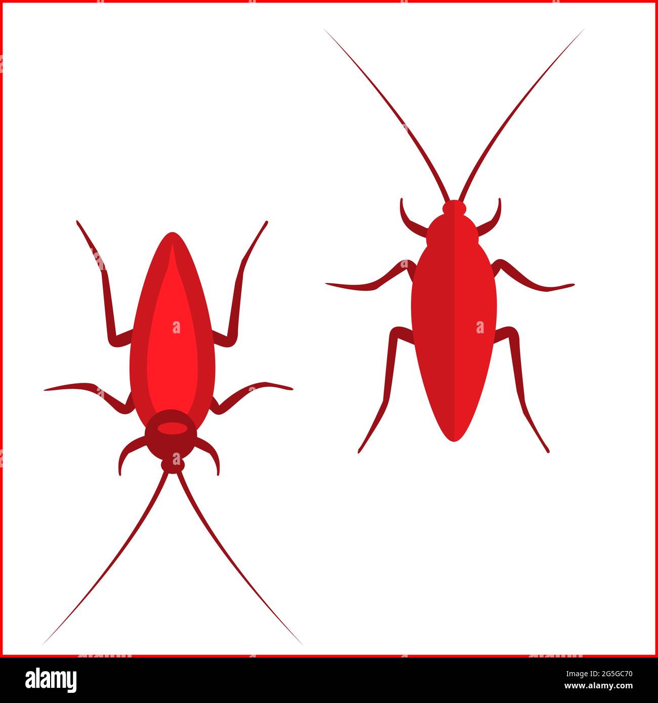 Cockroach insect icons set, Vector Illustration. Red Cockroach Stock ...