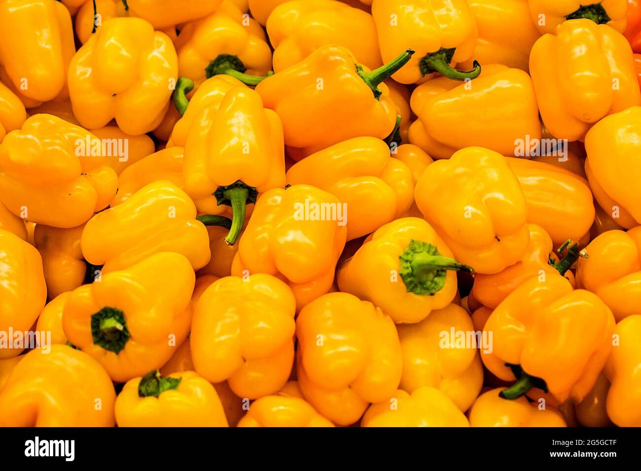 A huge collection of yellow bell pepper Stock Photo - Alamy