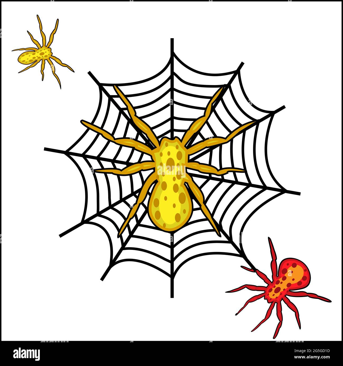 Spider insect icons set, Vector Illustration. Spider and cobweb Stock ...