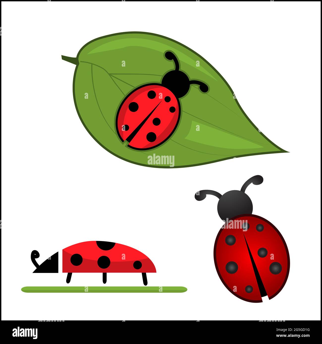 Ladybug insect icons set, Vector Illustration. Ladybug and leaf Stock ...