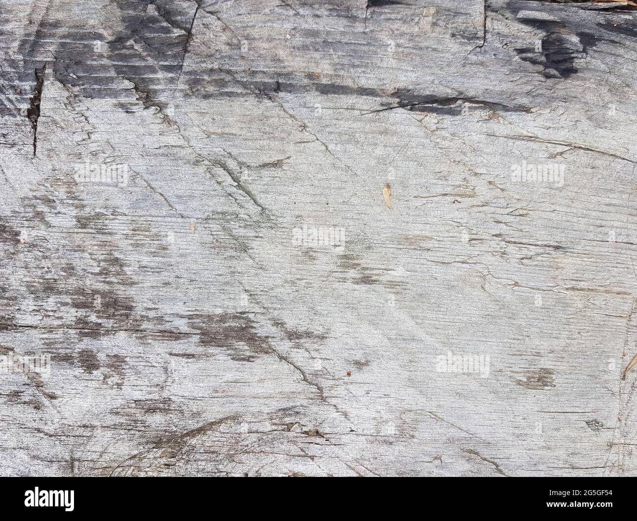 Old surface wood board background. Gray antique wooden texture Stock ...