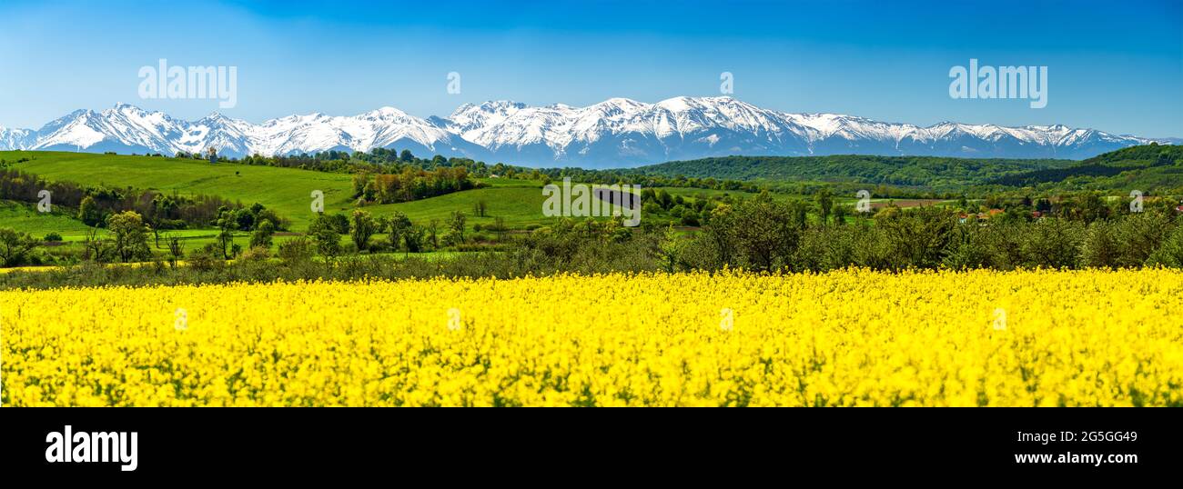 Hosman, Sibiu - Snowy Fagaras ridge, Carpathian Mountains spring ...