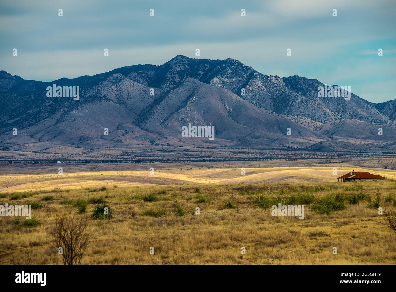 BLM Area in southern Arizona Stock Photo - Alamy