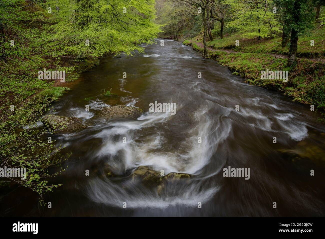 Beautiful Spring landscape image of Watrersmeet in Devon England where ...
