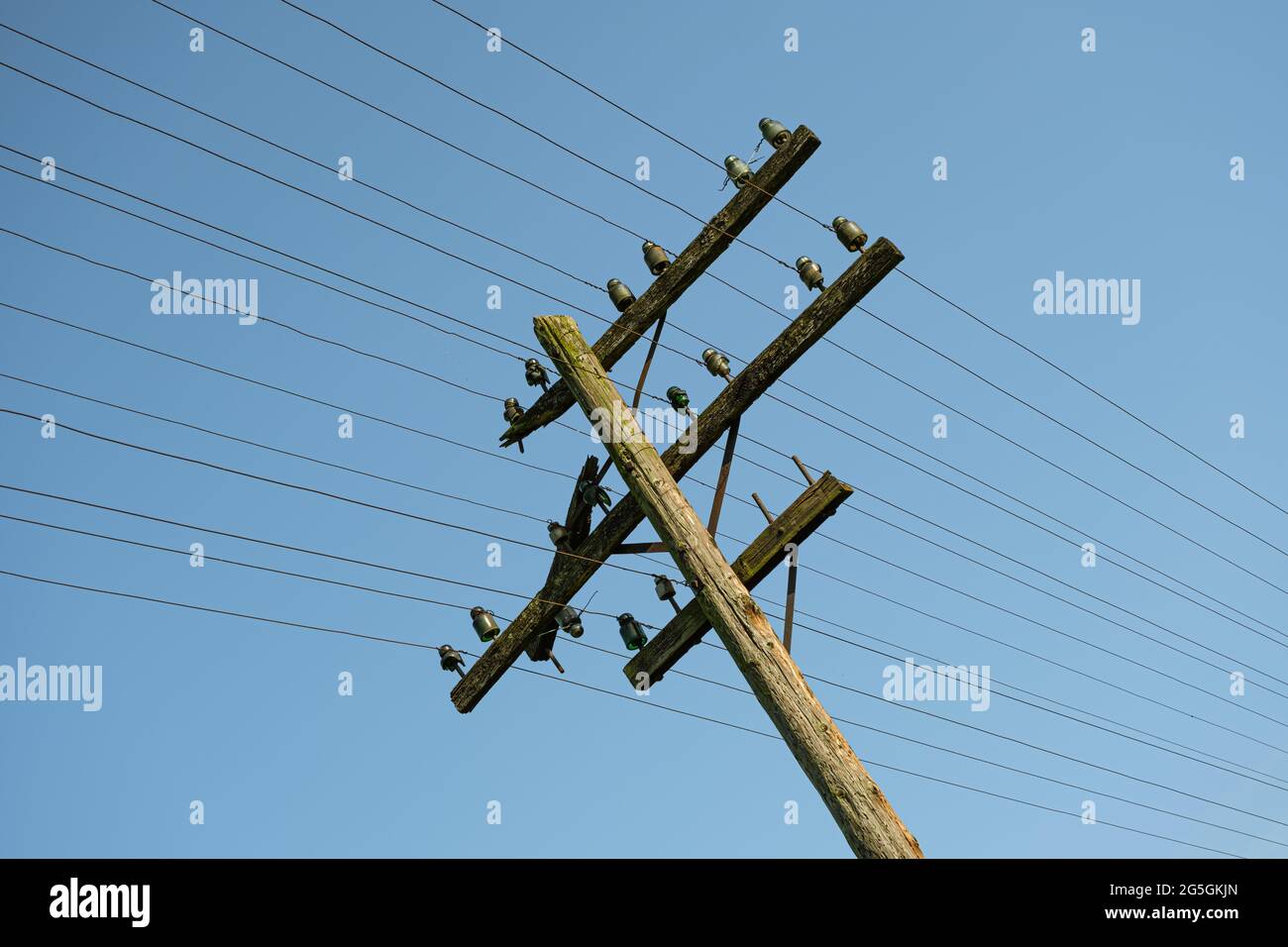 a wooden, electric pole by the railroad tracks Stock Photo - Alamy