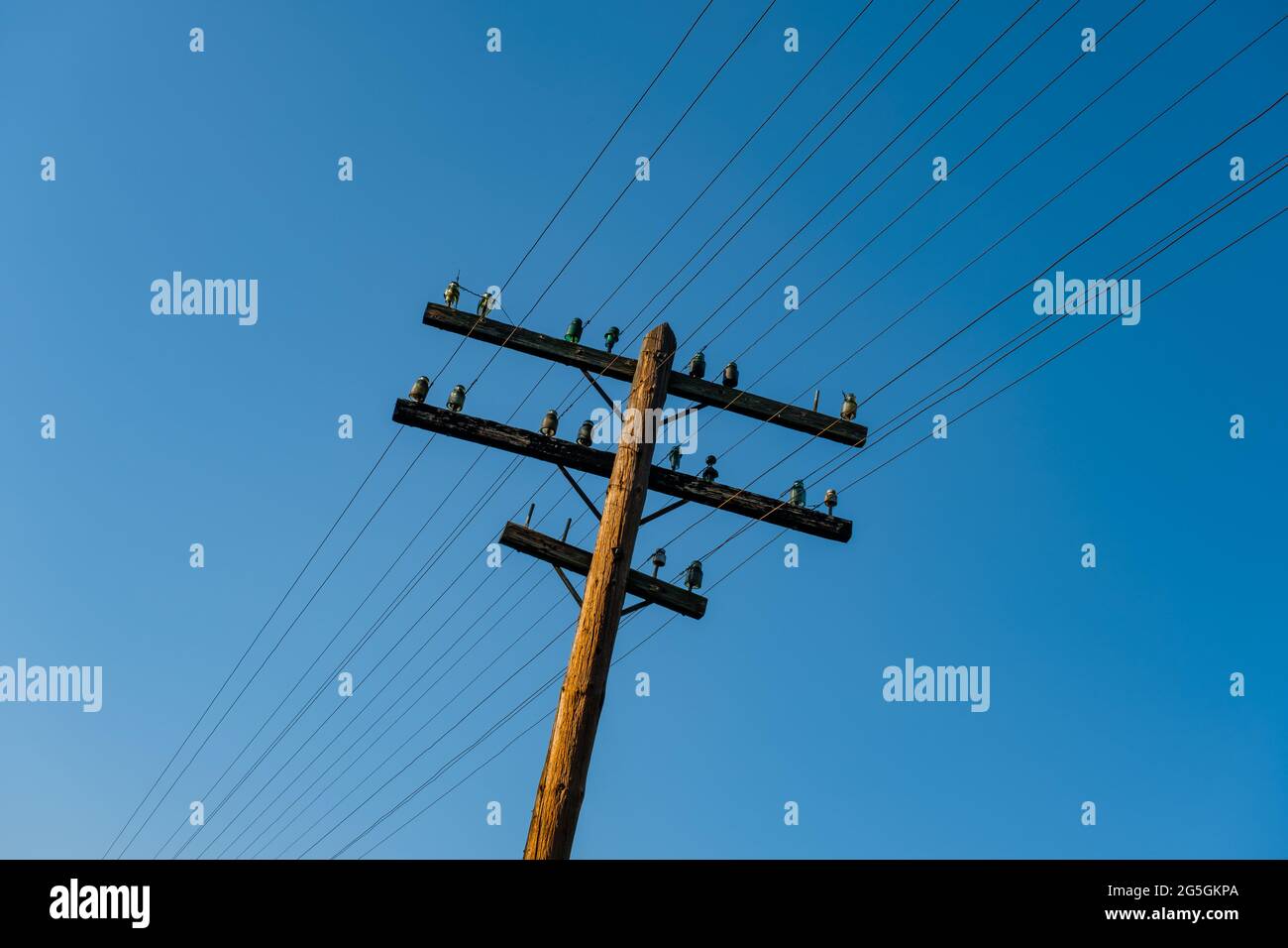 Old railroad telephone pole hi-res stock photography and images - Alamy