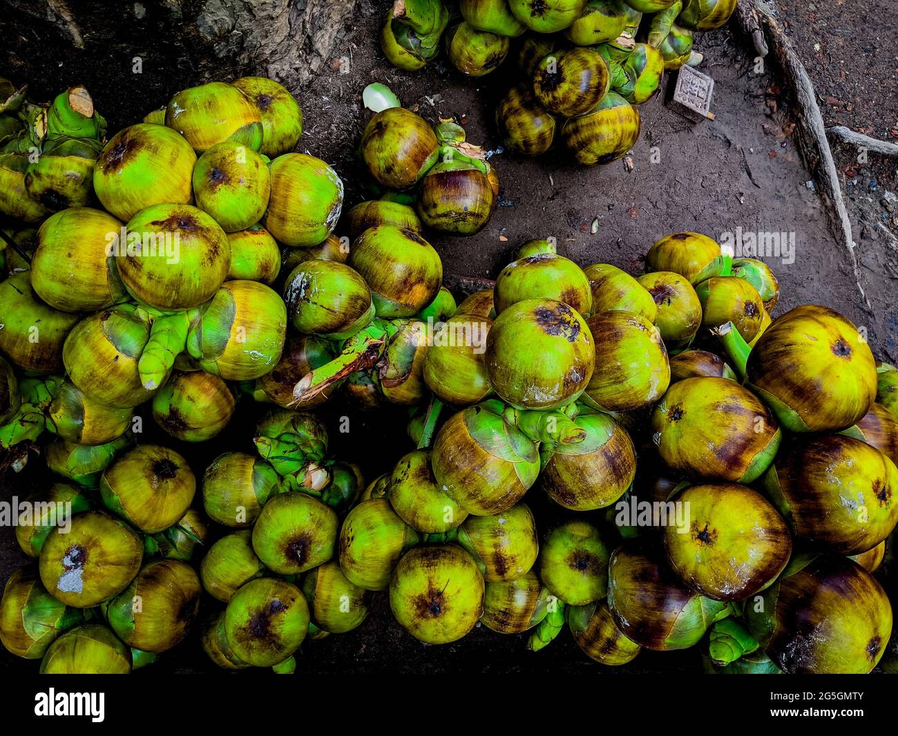 A top view closeup of green ripe figs on the ground Stock Photo - Alamy