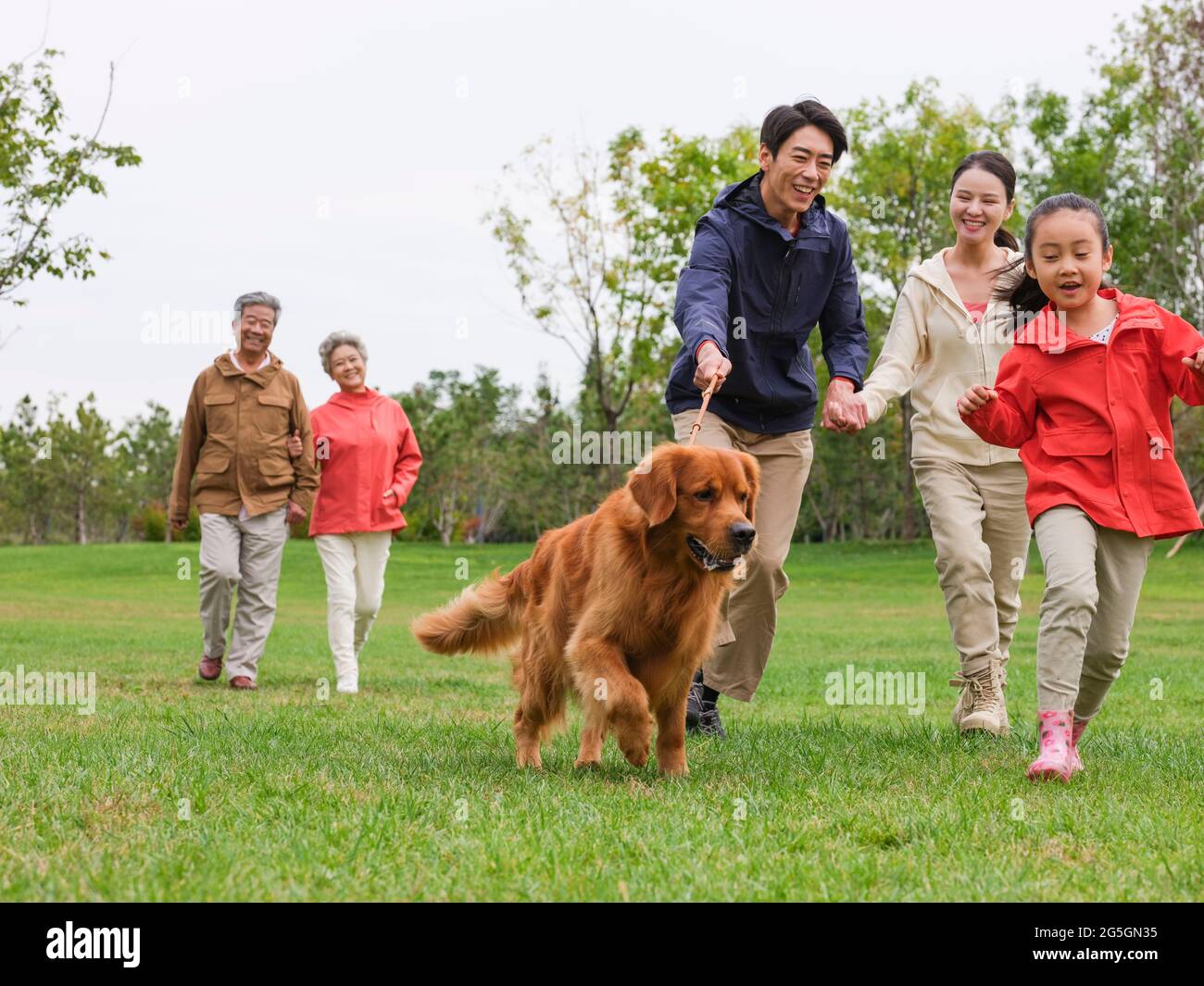 Man Walking Five Dogs High Resolution Stock Photography and Images - Alamy