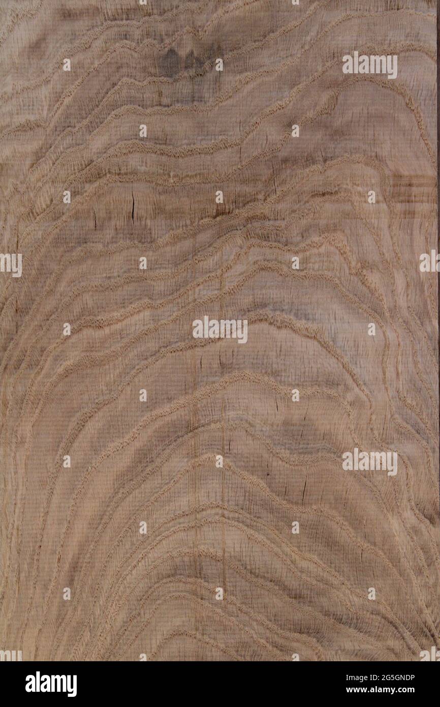 American oak wood texture hi-res stock photography and images - Alamy