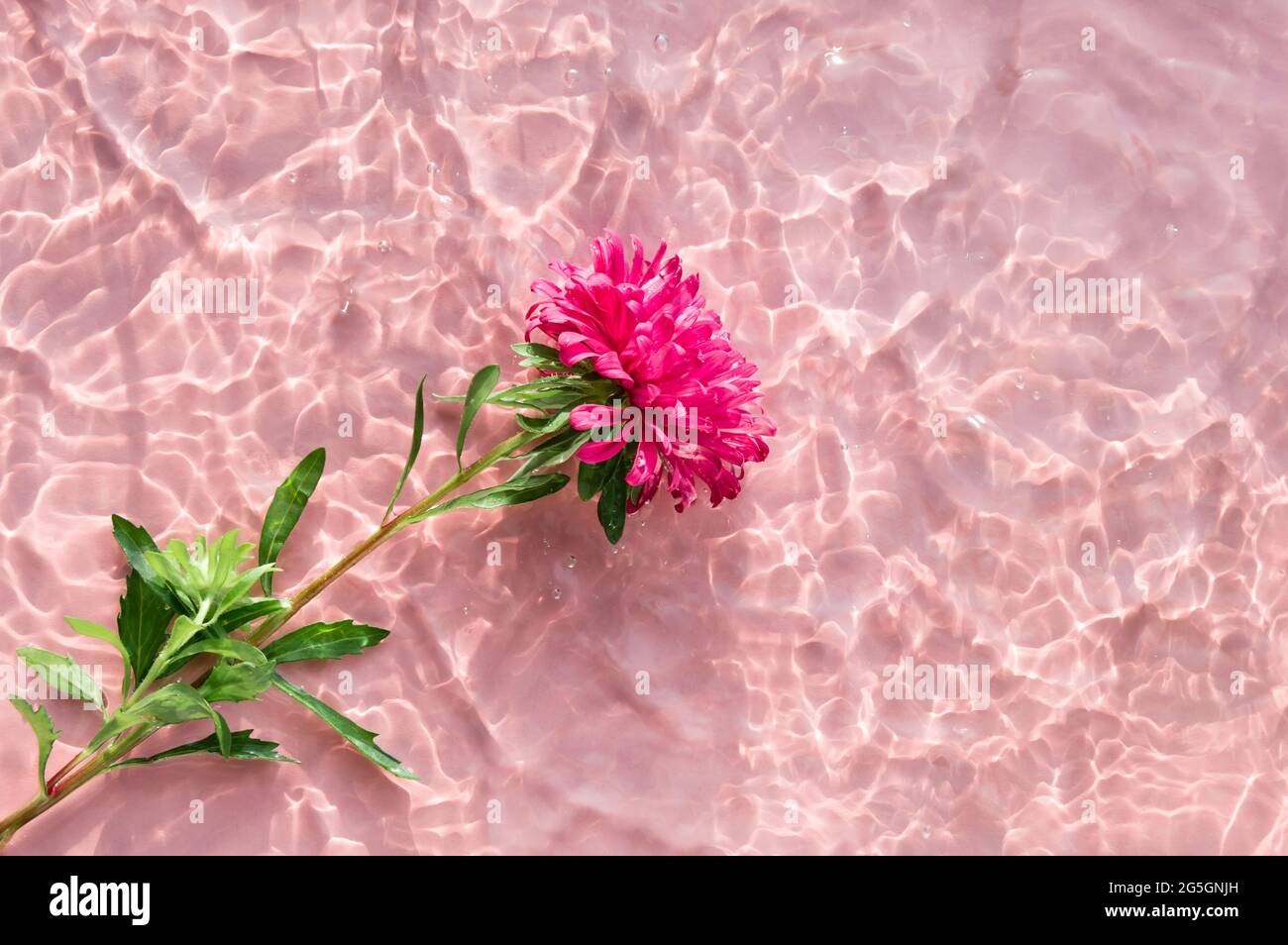 Ripple water flower hi-res stock photography and images - Alamy