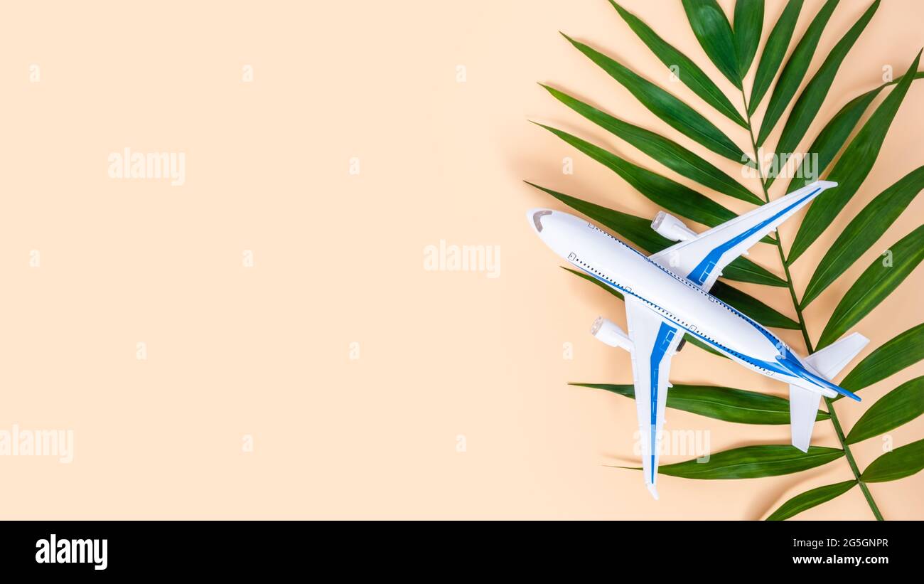 Airplane and palm leaf on neutral beige background with copy space for ...