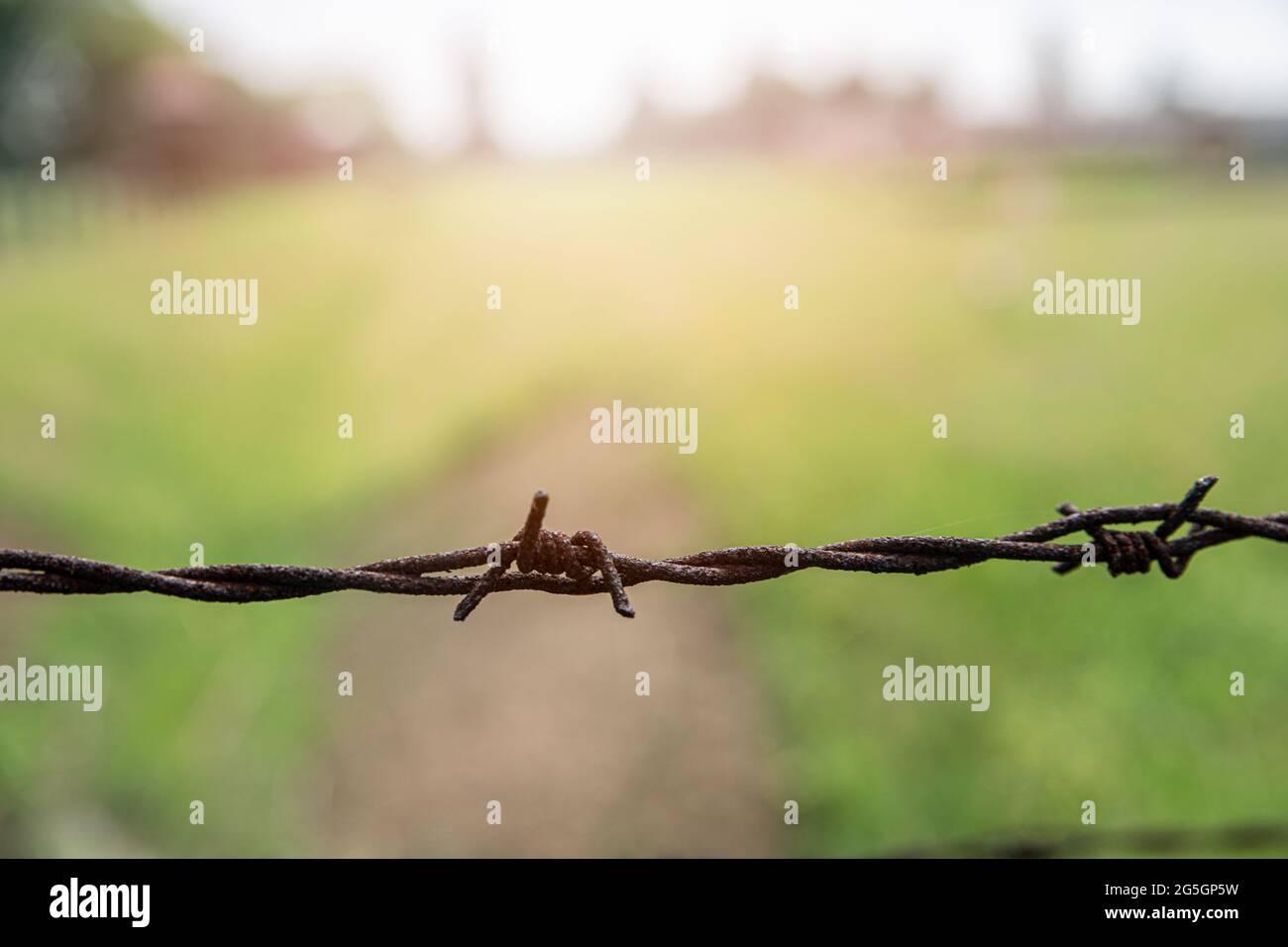 Close-up of barbed wire fence against the sky Stock Photo - Alamy