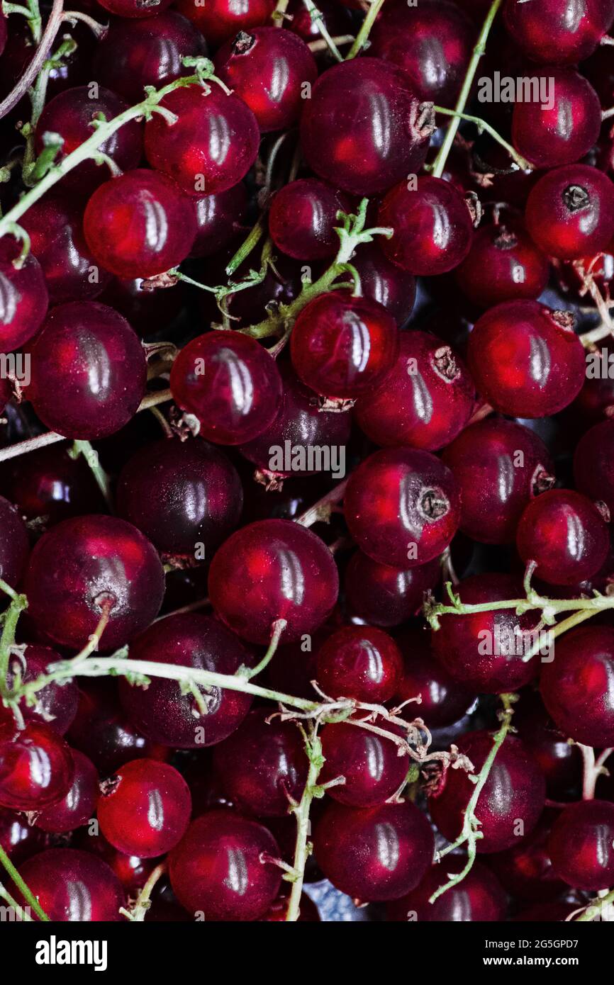 Currants and red hi-res stock photography and images - Alamy