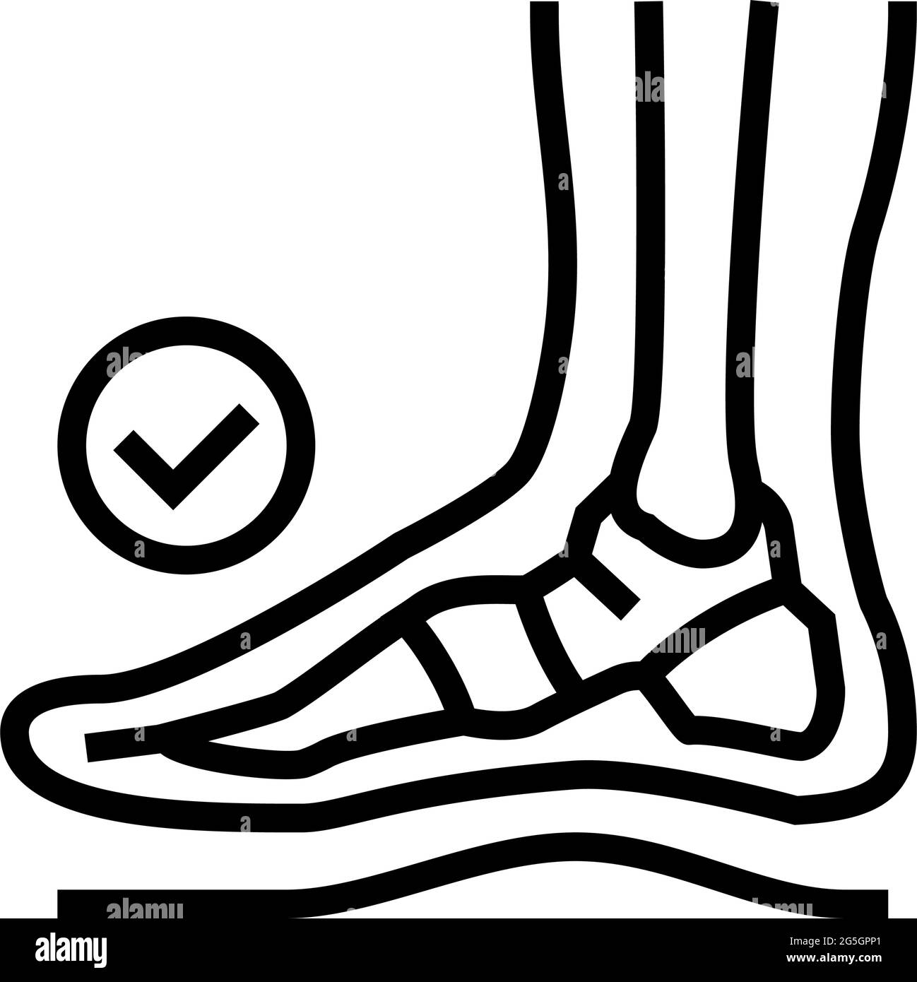 healthy bone feet line icon vector illustration Stock Vector Image ...