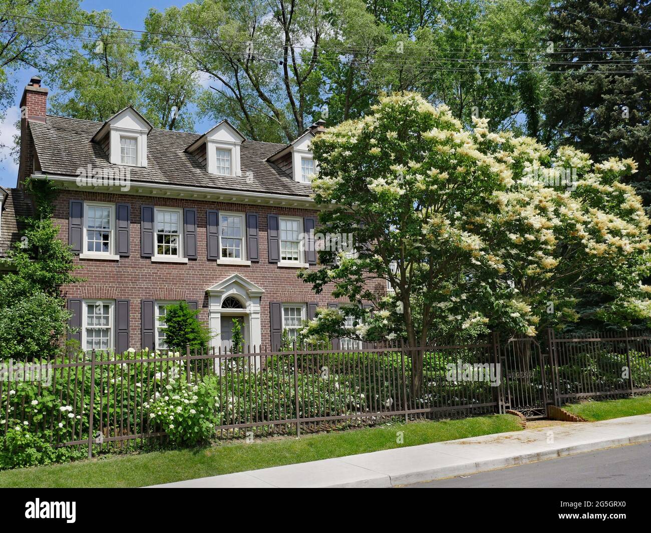 Brick house with dormer windows and two linden trees blooming in front ...