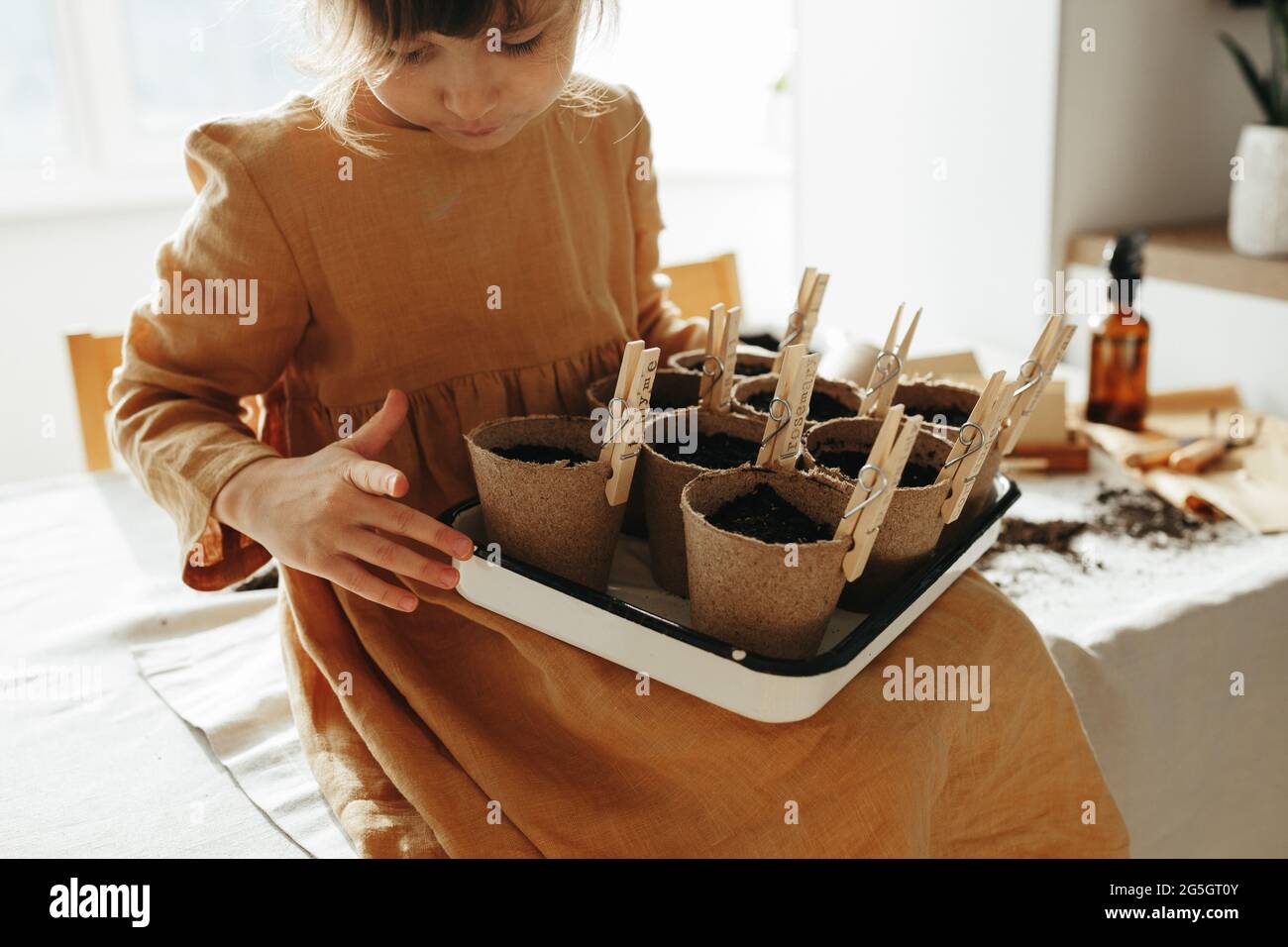 6 years old girl planting herbs at home Stock Photo - Alamy