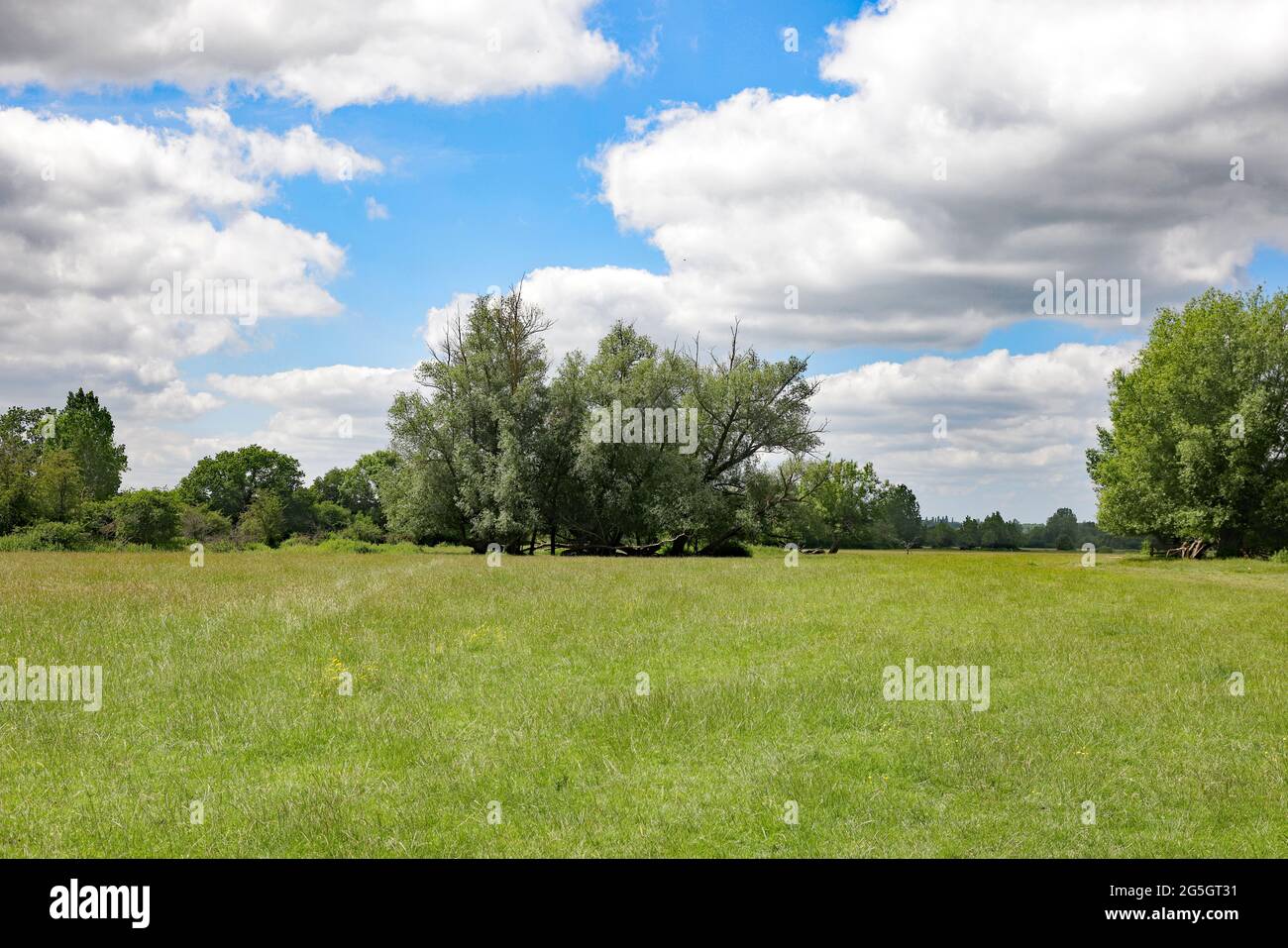 English rural landscape June, 2021 Stock Photo - Alamy