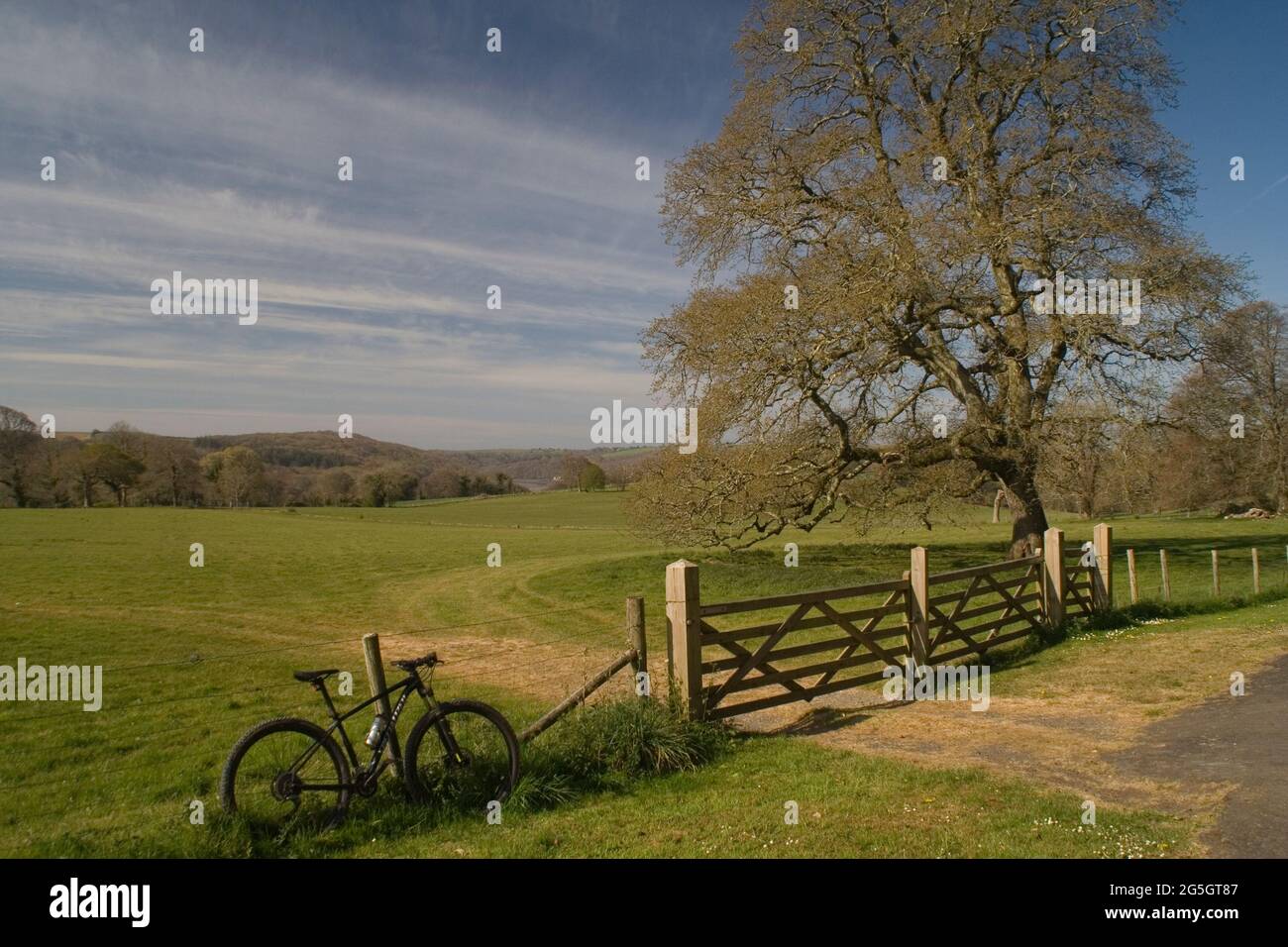 Kitley estate, Devon Stock Photo - Alamy