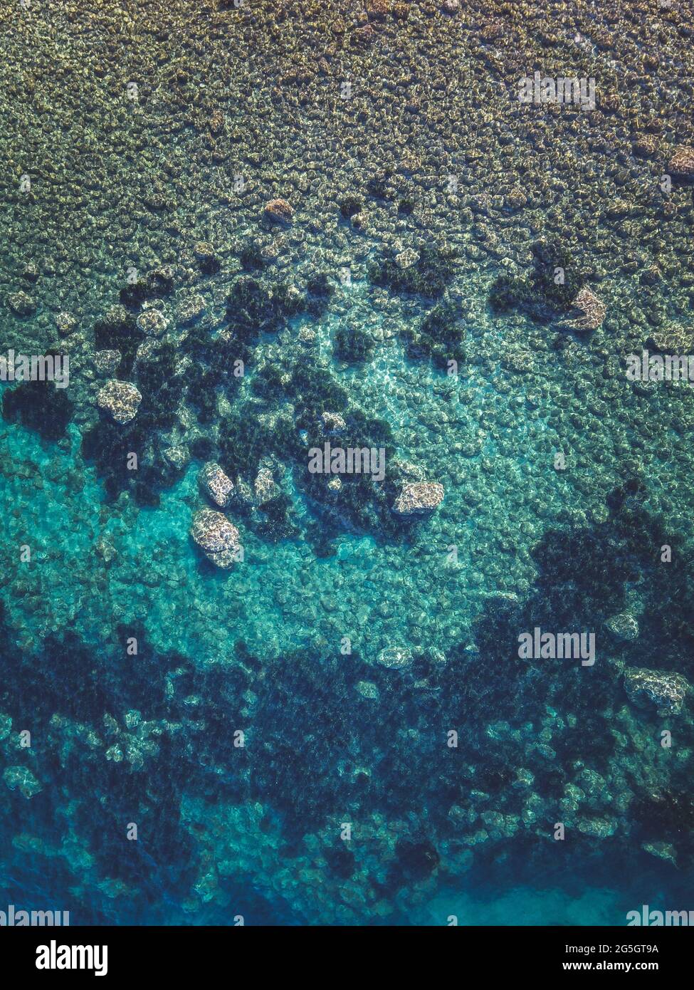 A vertical shot of beautiful coral reef - perfect for wallpaper Stock ...