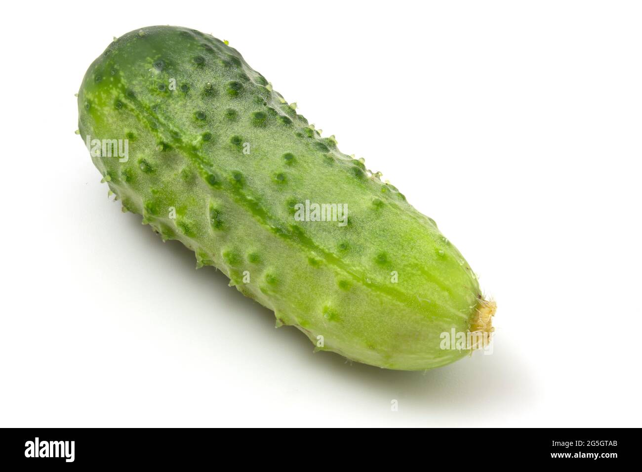 Fresh green cucumber isolated on white background for quick selection ...