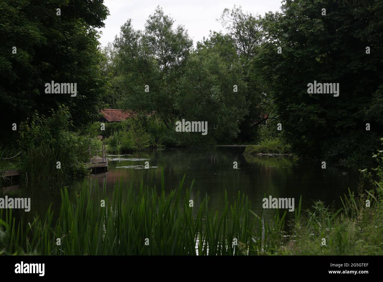 View of the river Stour in Suffolk, UK in June 2021 Stock Photo - Alamy