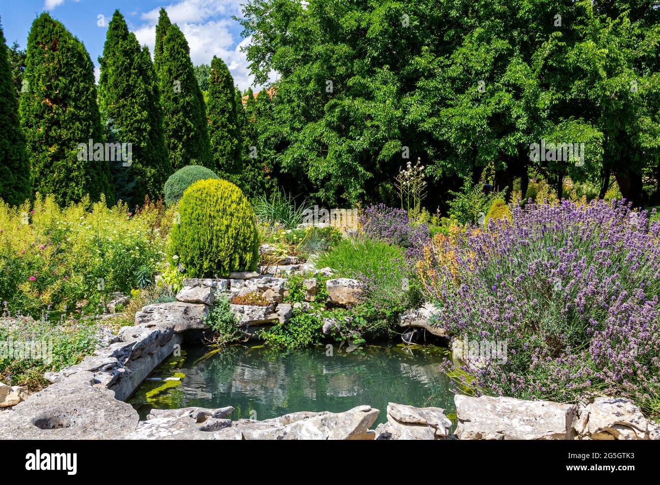 Park with a pond. Artificial pool in the park. Parks Stock Photo - Alamy