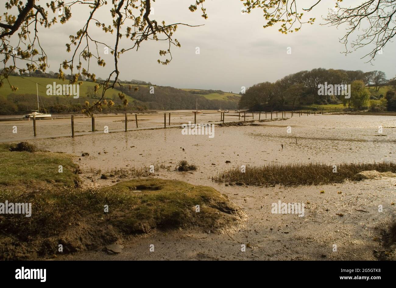 Tidal Road at Aveton Gifford Stock Photo - Alamy