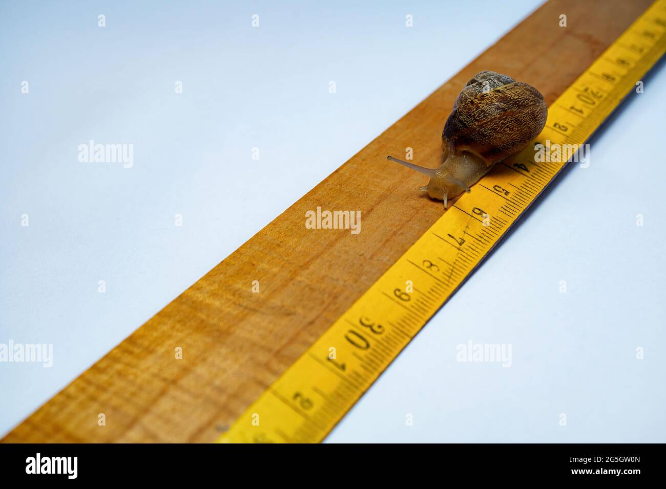 Big ruler hi-res stock photography and images - Alamy