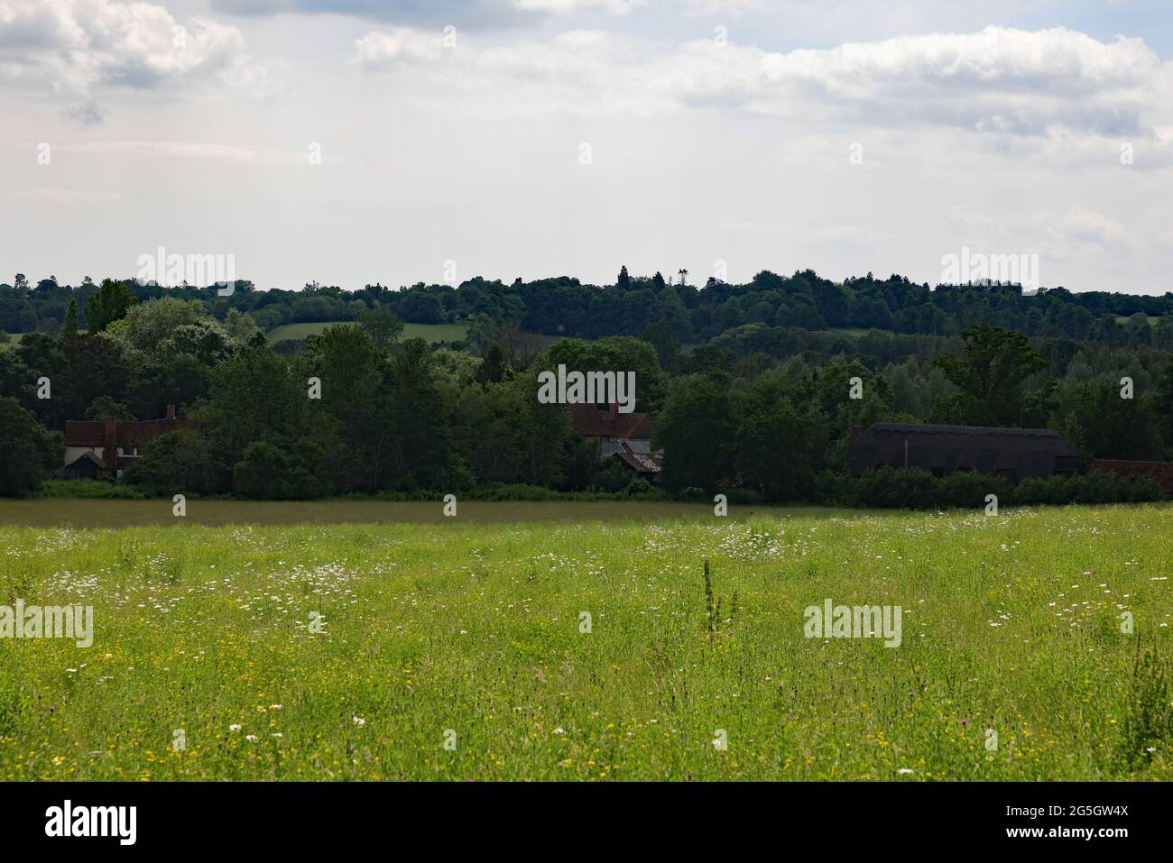 General view of English rural landscape in the UK, during summer 2021 ...
