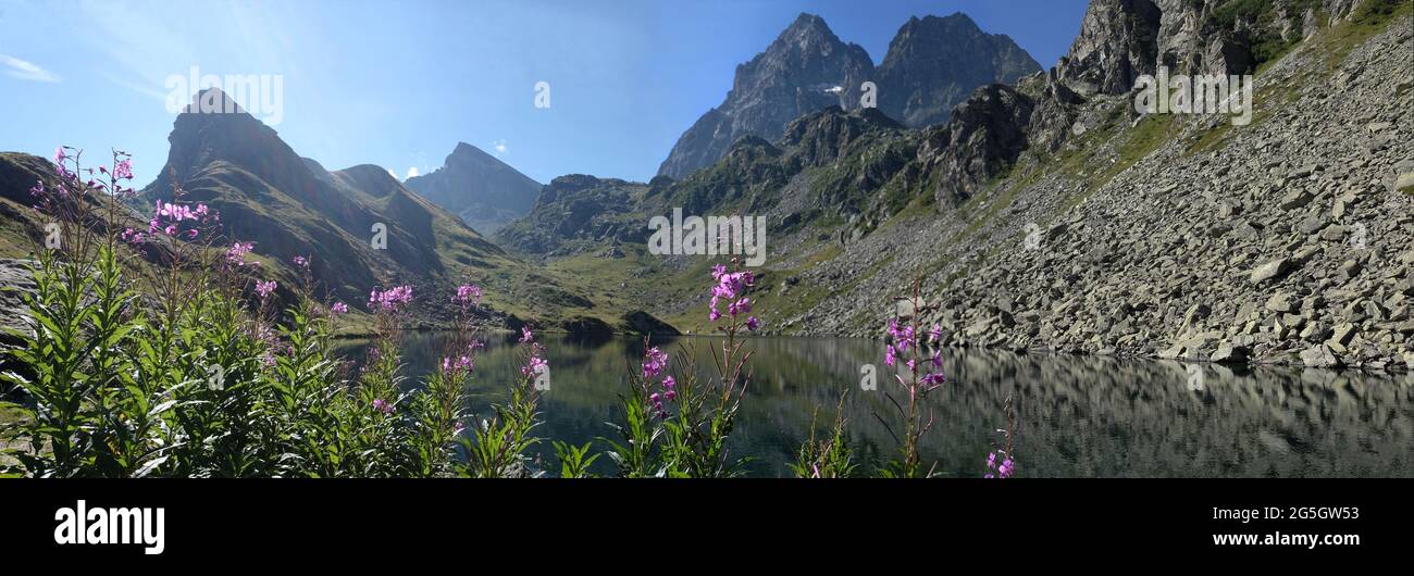 Visione allargata panoramica del Lago Fiorenza con il Monviso , il ...