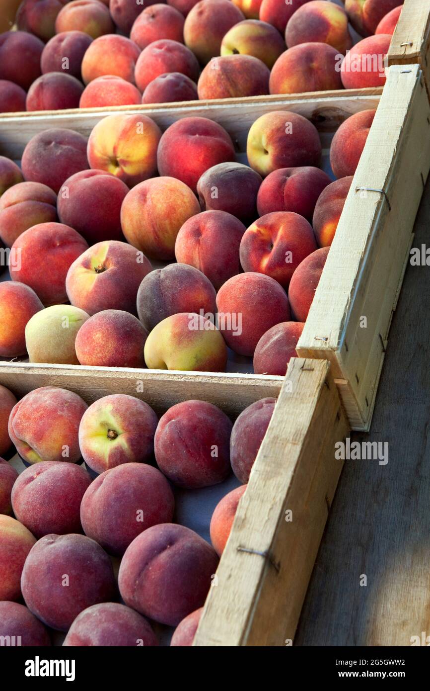 Close up of peaches trays in a rural market Stock Photo - Alamy